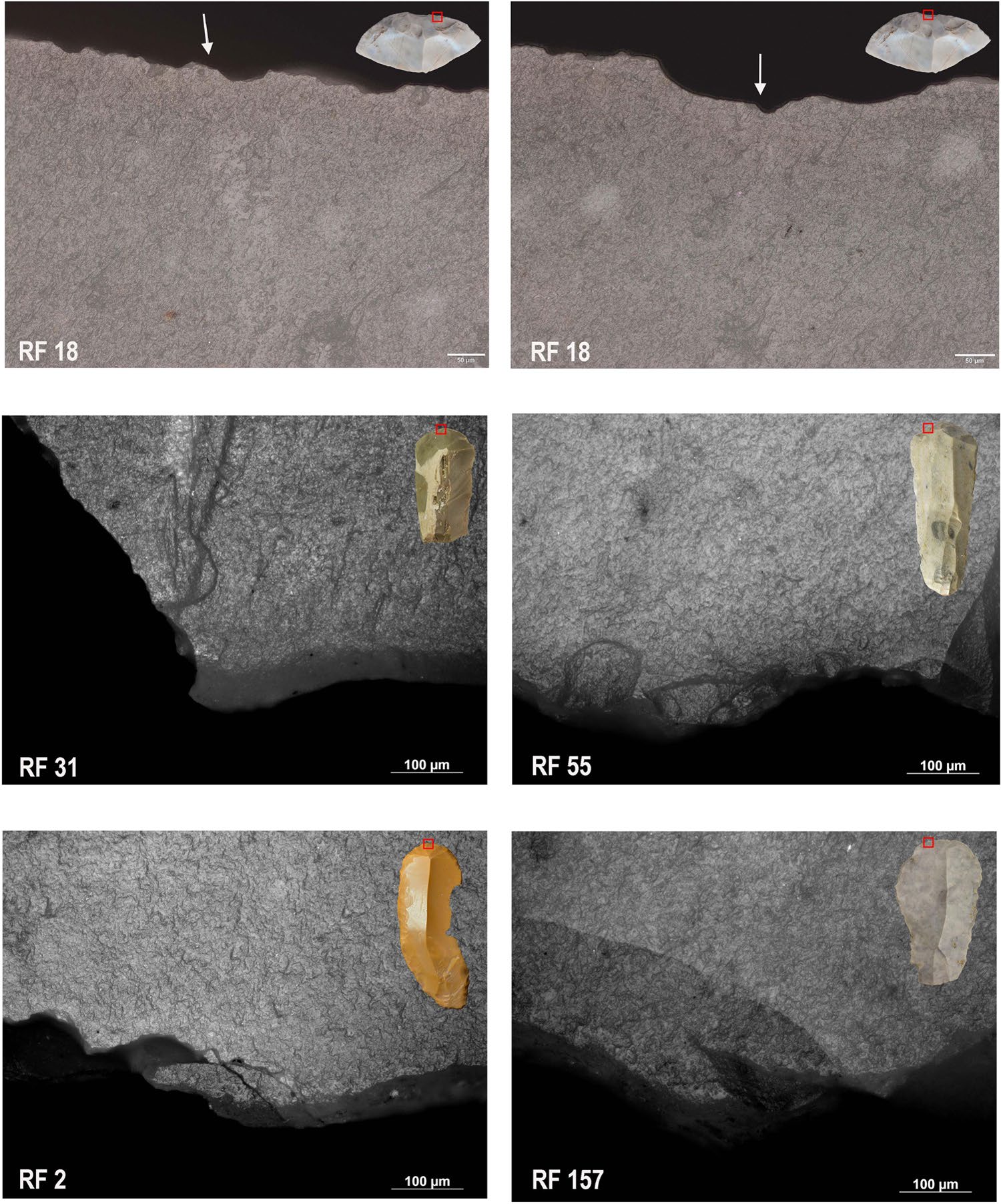 Scraping hide in the early Upper Paleolithic: Insights into the life ...