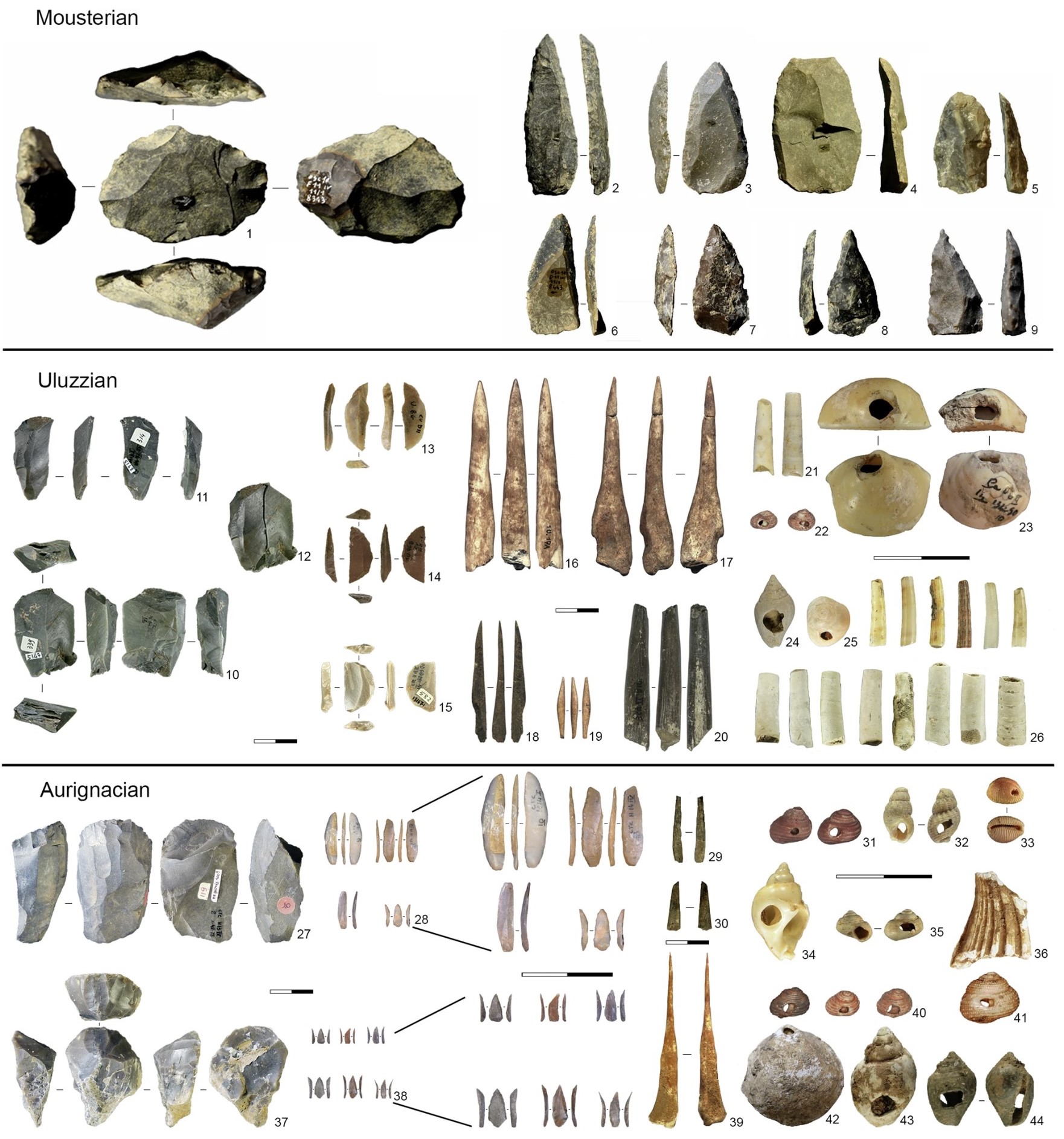 Chronometric Data And Stratigraphic Evidence Support Discontinuity Between Neanderthals And