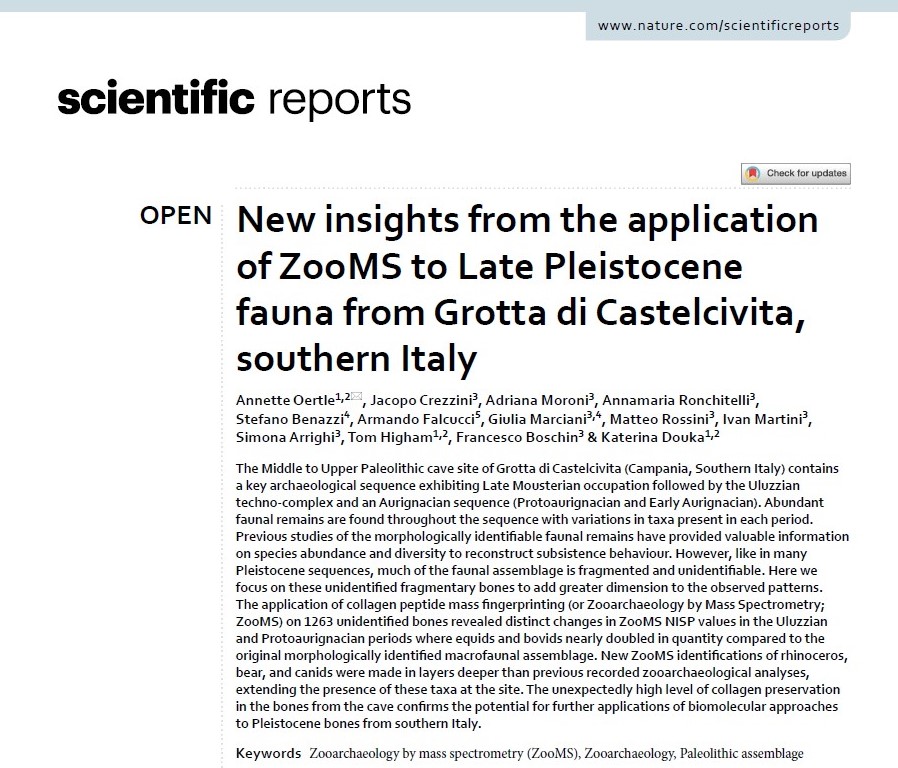New insights from the application of ZooMS to Late Pleistocene fauna ...